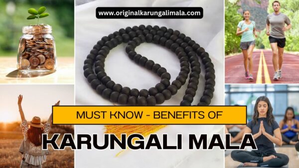 Benefits Of Karungali Mala - Every Hindu Must Wear | Original Karungali ...